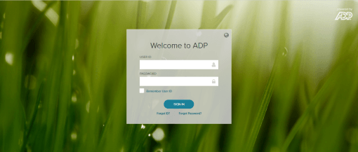 How to Acquire Your ADP Pay Stub?