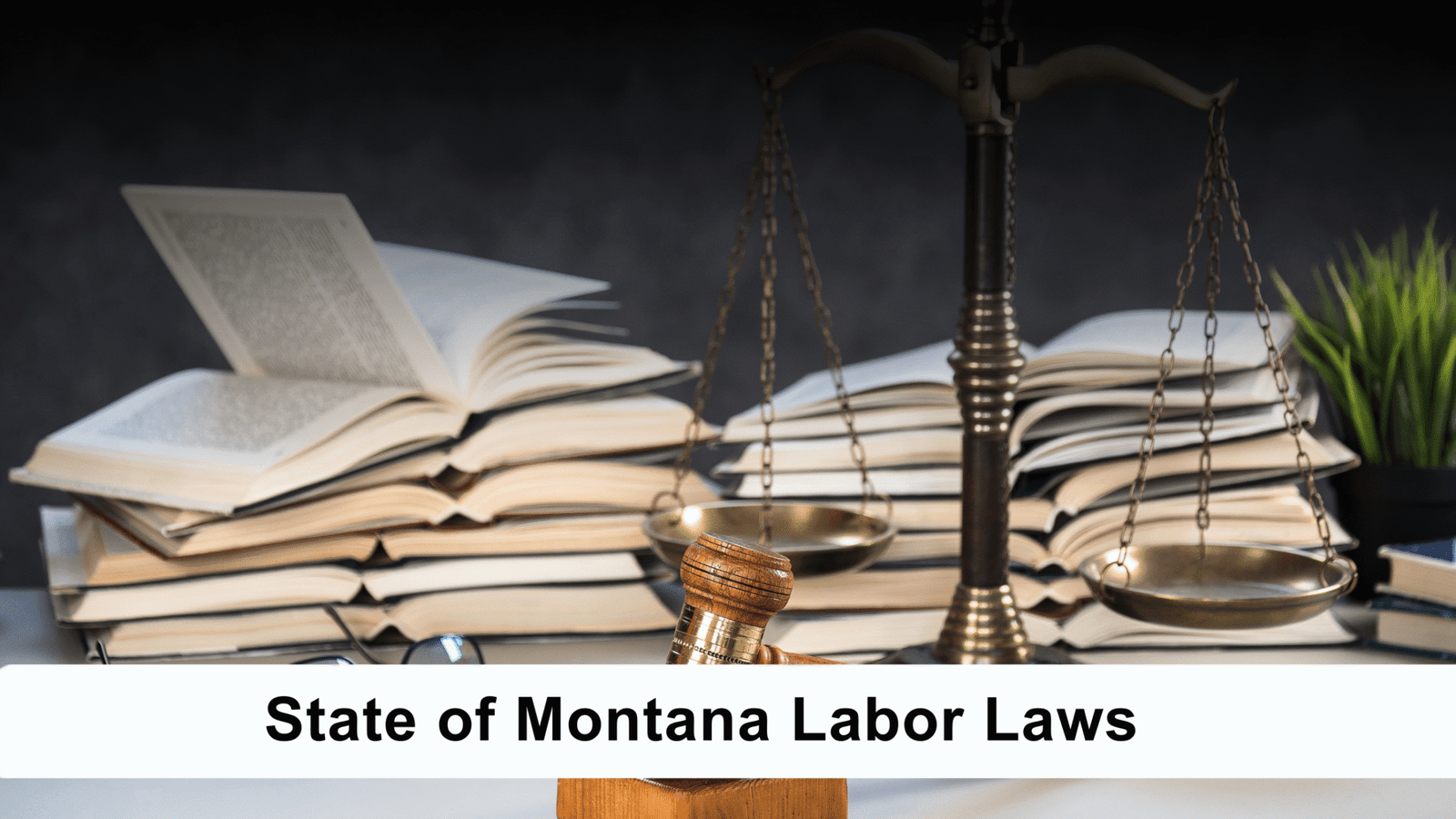State of Kansas Labor Laws 2025 (Updated)